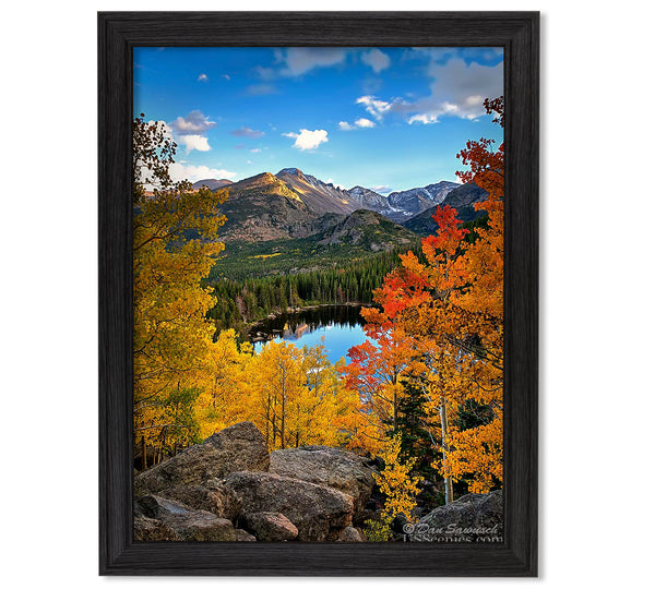 Bear Lake Alternate - 21x28 Restoration Black Oak – US Scenics