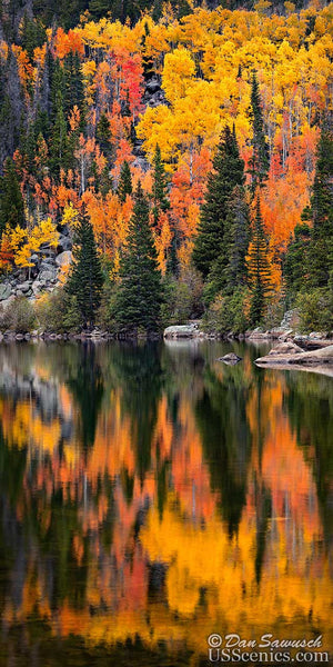 Bear Lake Colors V – US Scenics